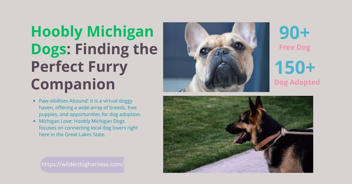 Hoobly Michigan Dogs: Finding The Perfect Furry Companion 2025